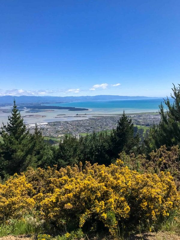 4 Awesome short day walks in Nelson you need to try - Life Coach For ...