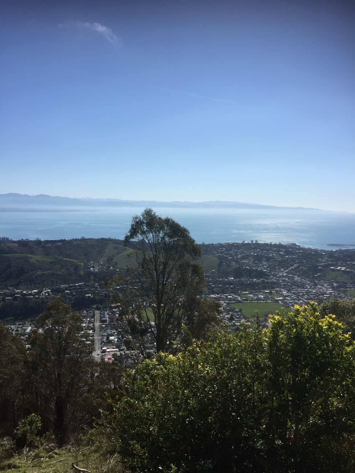 4 Awesome short day walks in Nelson you need to try - Life Coach For ...