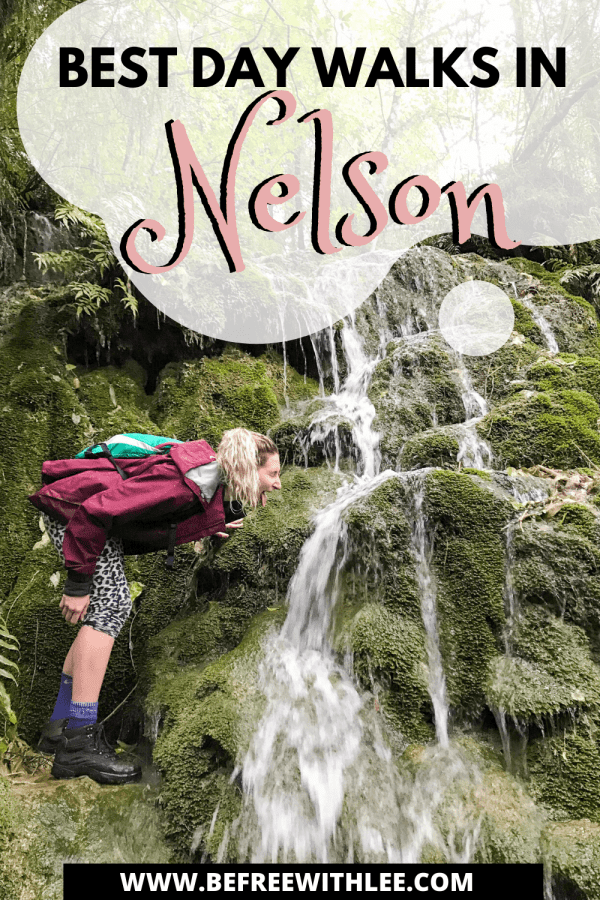 4 Awesome short day walks in Nelson you need to try - Life Coach For ...
