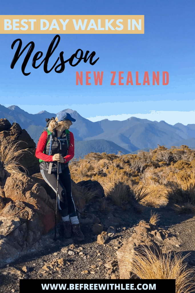 4 Awesome short day walks in Nelson you need to try - Life Coach For ...